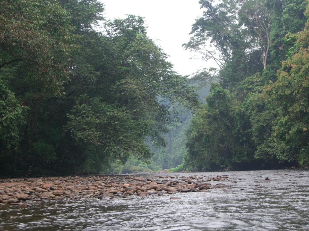 Temburong: A Journey by Longboat - HubPages
