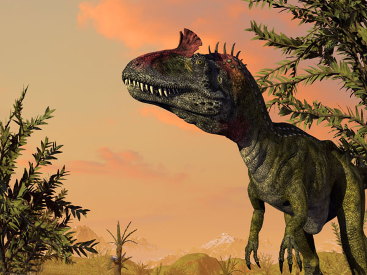 Top 10 Nasty Dinosaurs - HubPages