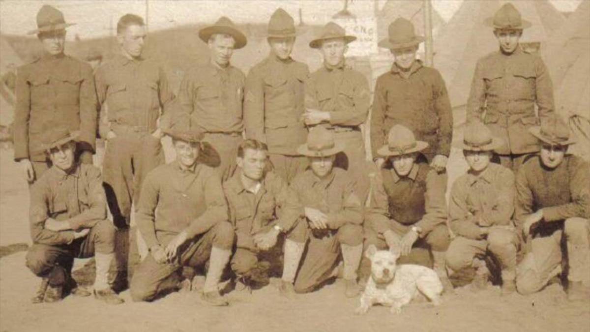 The True Story of World War I Canine Hero Sergeant Stubby - HubPages