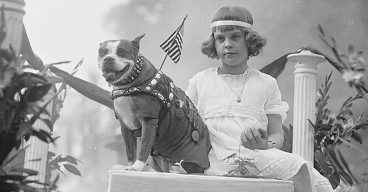 The True Story of World War I Canine Hero Sergeant Stubby - HubPages