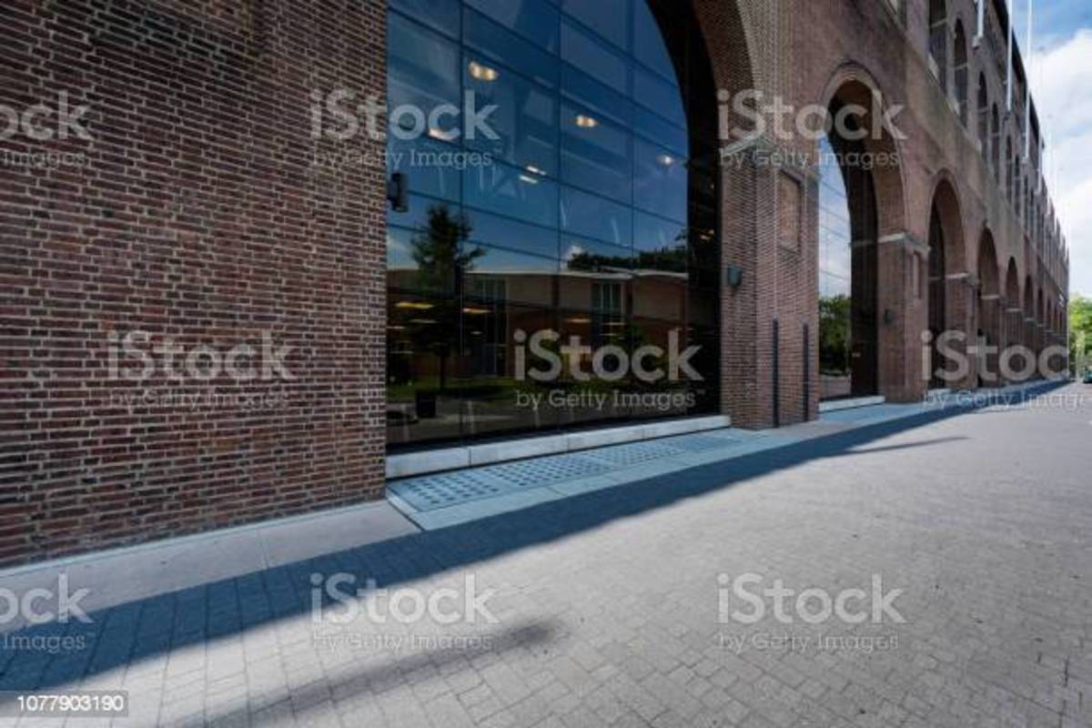 The Public Library as a Reflection of Culture: World and American ...