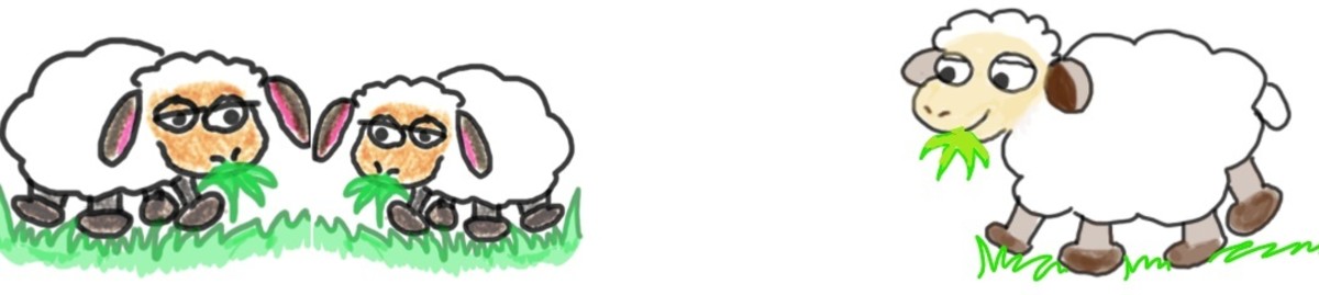 Billy, the Silly Sheep - HubPages