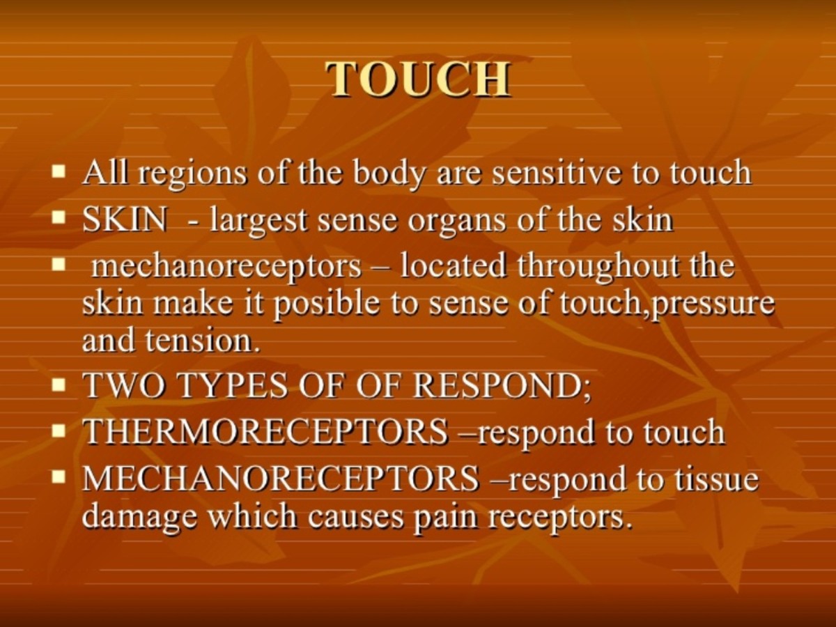 The Sense of Touch - Lesson Plan for 4 to 5 Years Old - HubPages