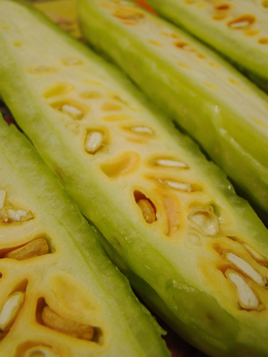 How to Cook: Sauteed Bitter Melon or Ampalaya Guisado - HubPages