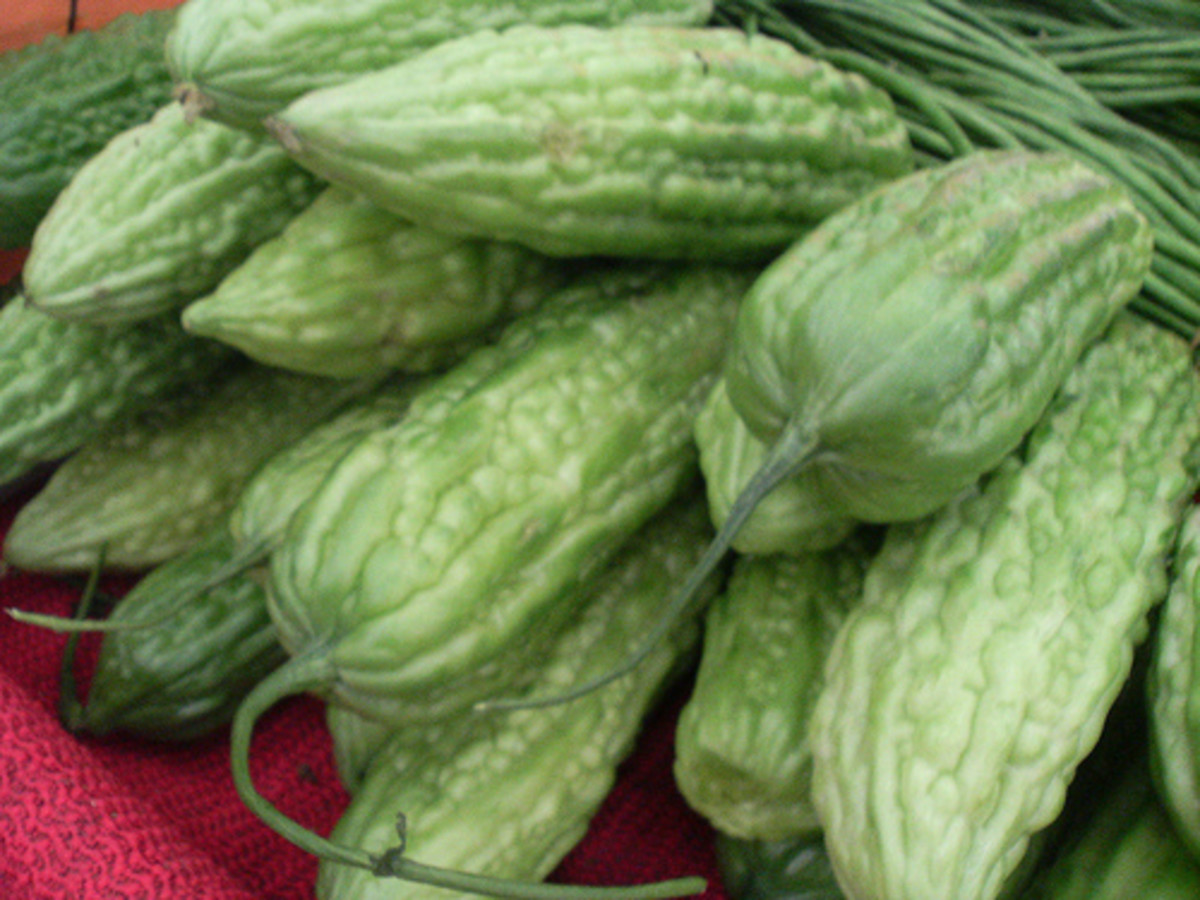 How to Cook: Sauteed Bitter Melon or Ampalaya Guisado - HubPages