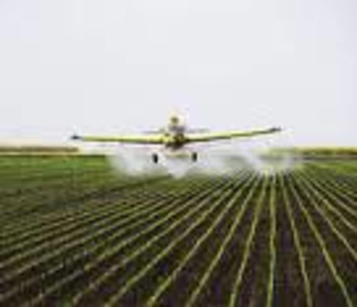 Pesticides are a Danger to Health and the Environment - Choose Organic ...