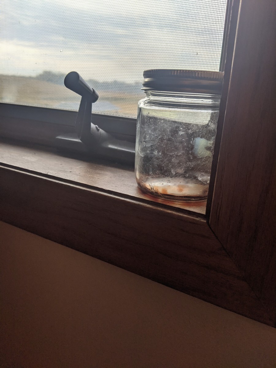 Bug Jar - a Handmade Fruit Fly Trap - HubPages