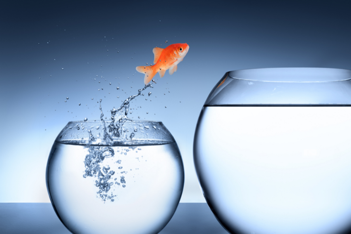 10 Keys to Staying Relevant in Your Business - HubPages
