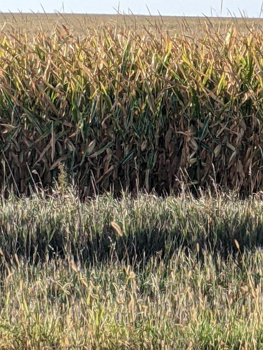 Fall in Minnesota - Autumn - HubPages