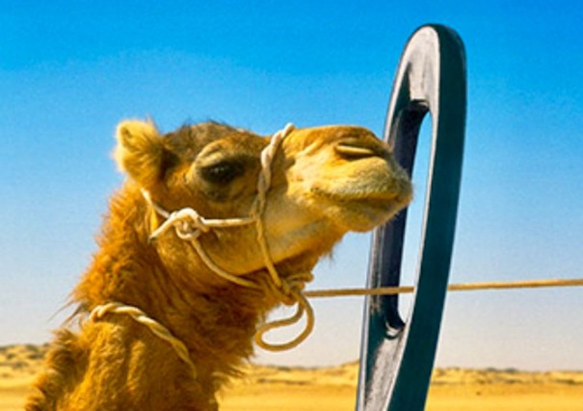 Widening The Eye Of The Needle - HubPages