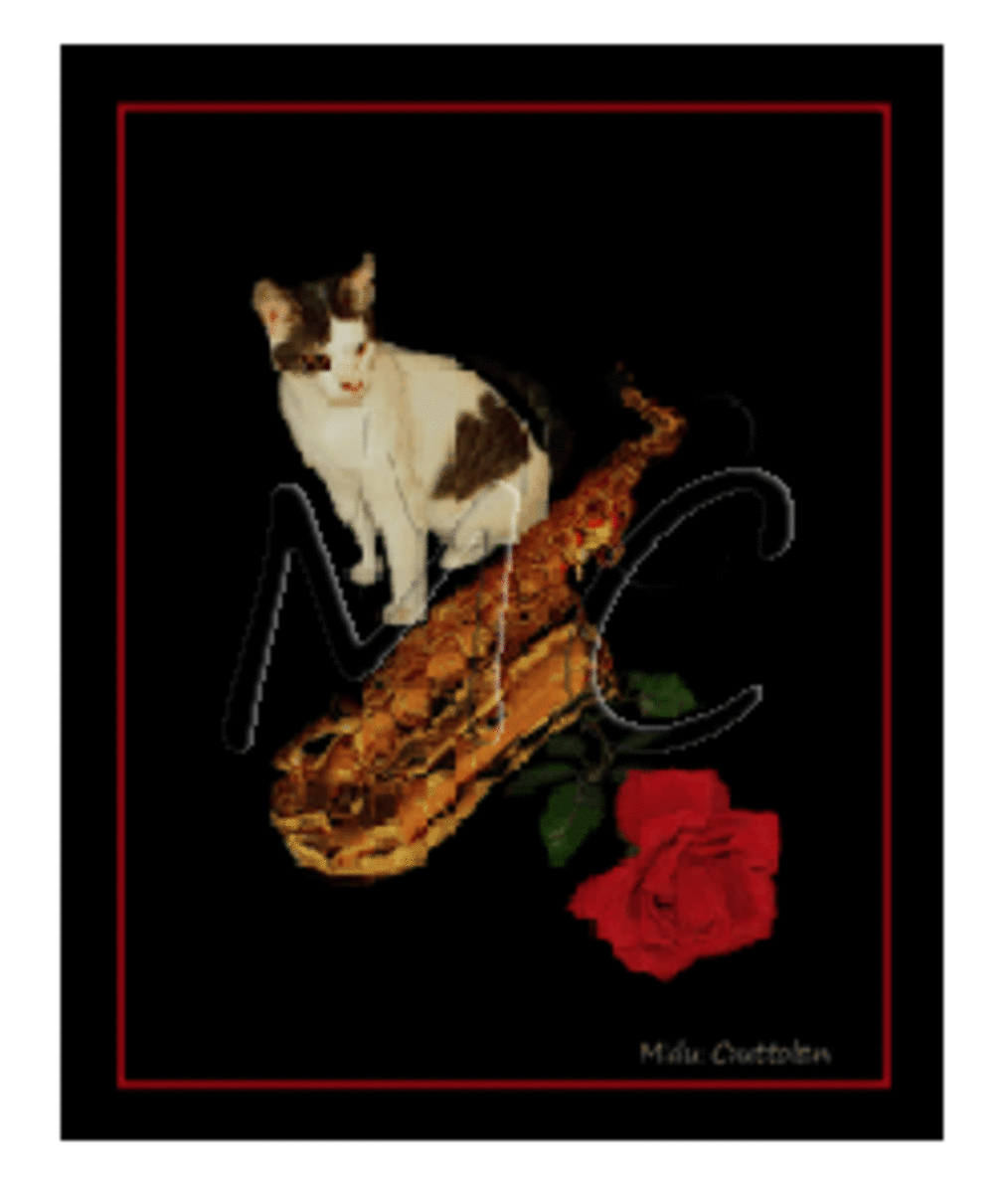 Malu Couttolenc Photography is The Little Card Shop - HubPages