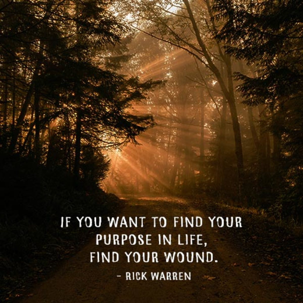 121 Quotes for a Successful Life - HubPages