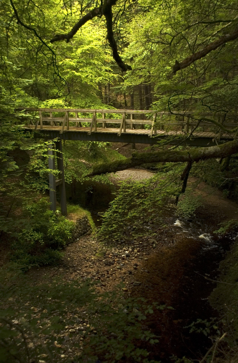 What Can We Learn About Humanity from Shakespeare's Macbeth? - HubPages