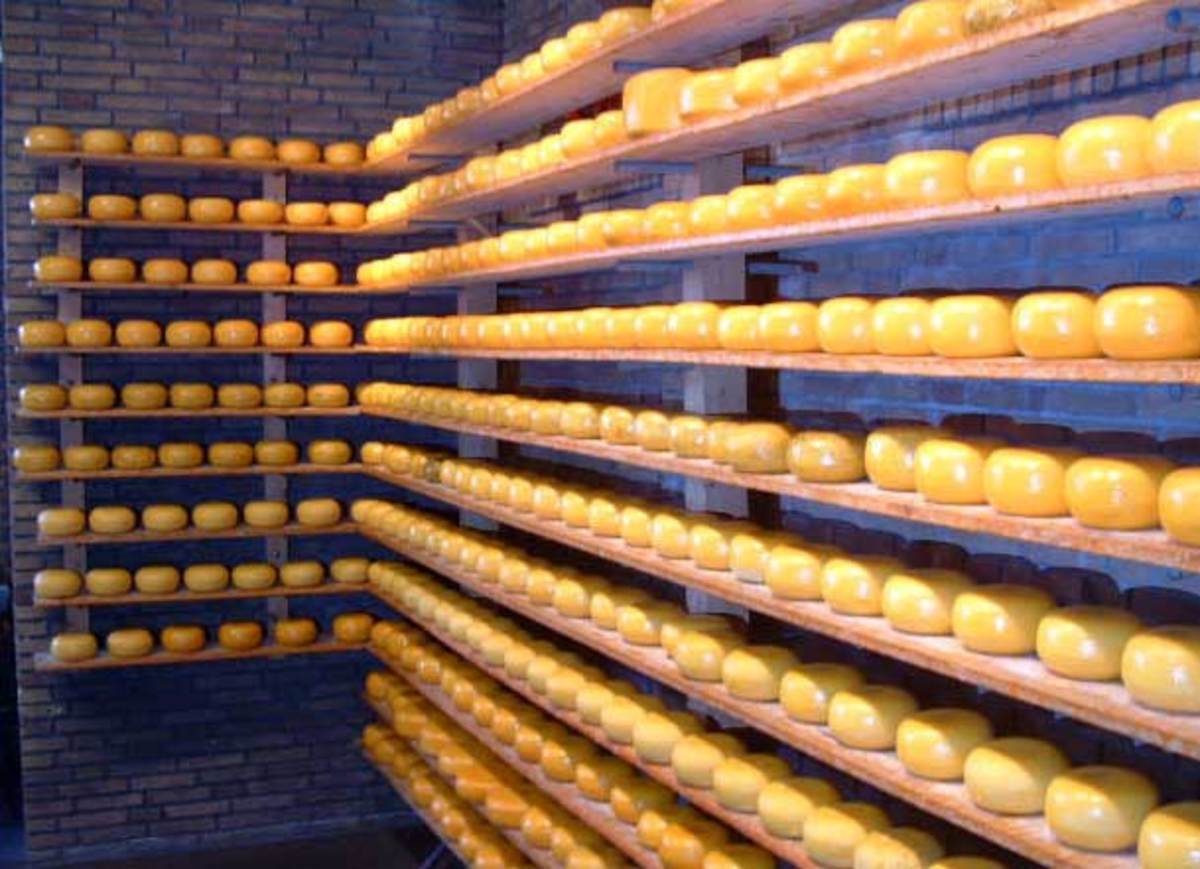 The Wonderful World of Cheese! - HubPages