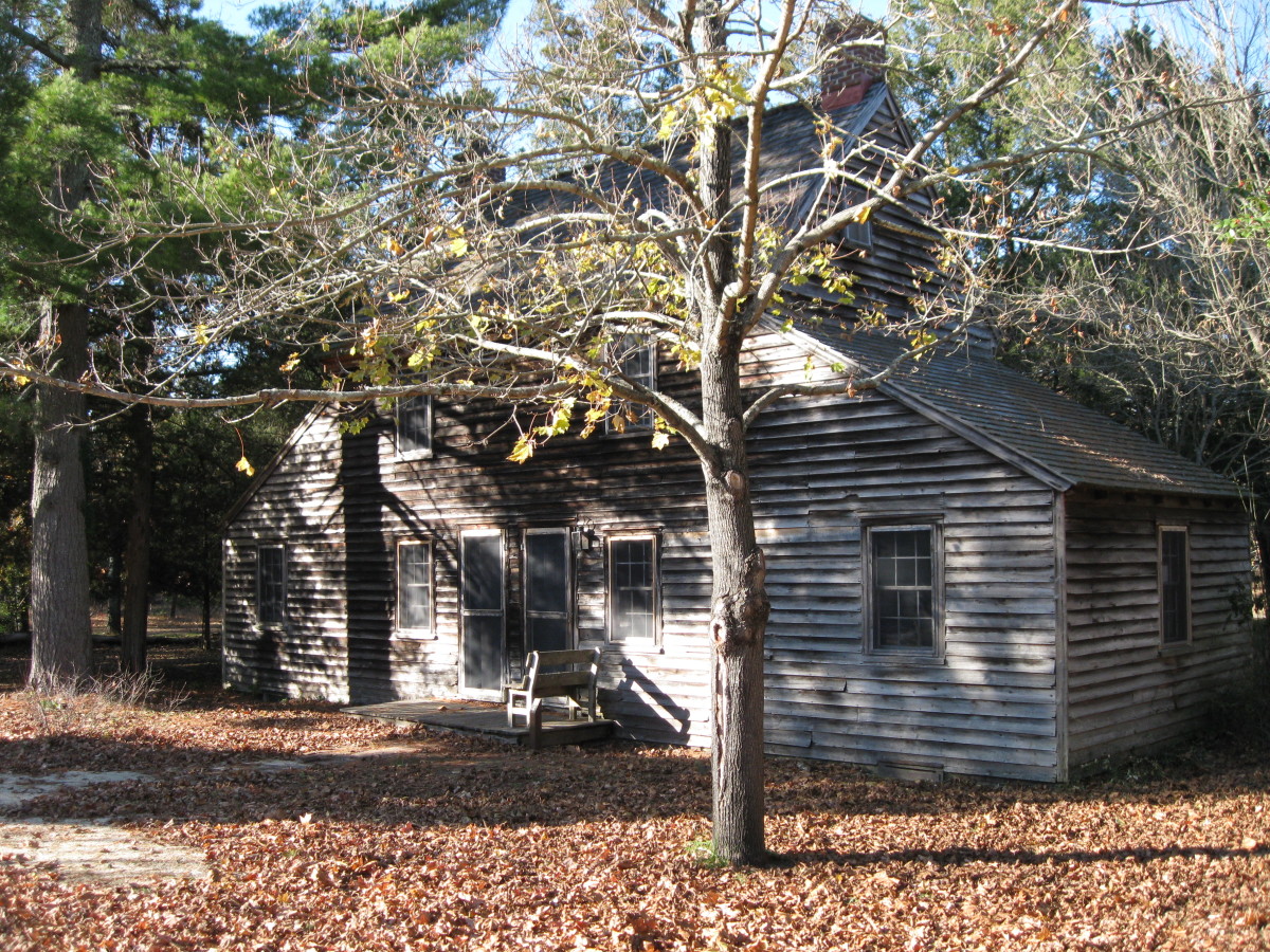 A Quick Trip to the New Jersey Pine Barrens and Historic Batsto Village ...