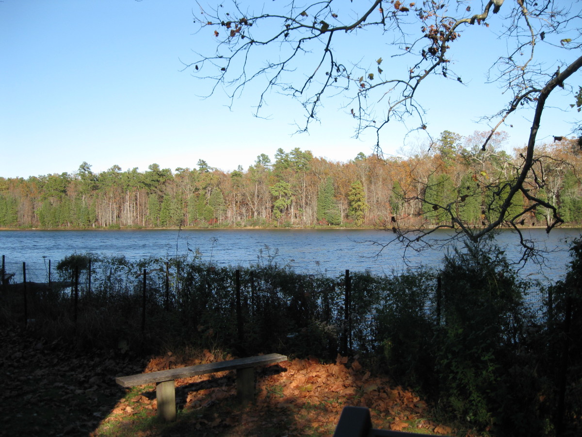 A Quick Trip to the New Jersey Pine Barrens and Historic Batsto Village ...