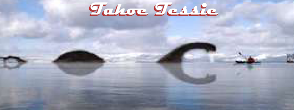 Top 10 Cryptids Creeping Around California - HubPages