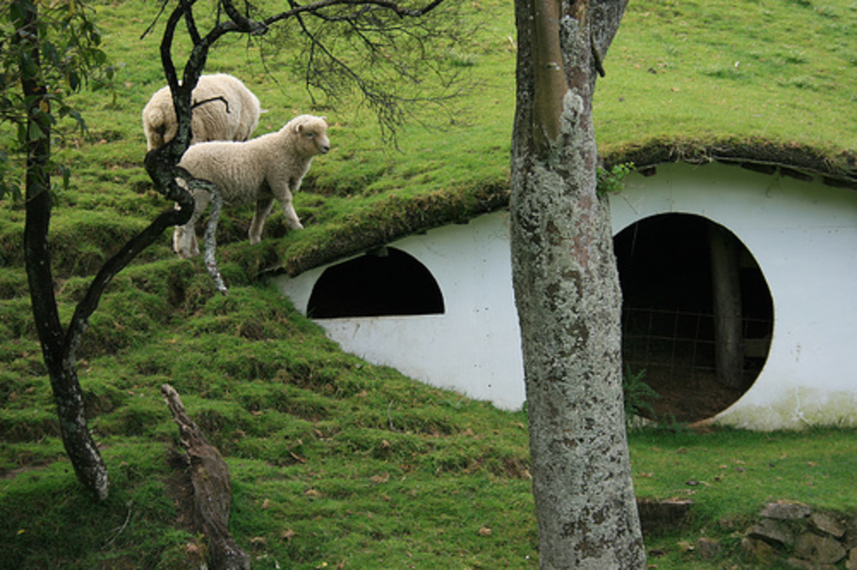 Lord of the Rings: Hobbiton Inhabited by Sheep! - HubPages