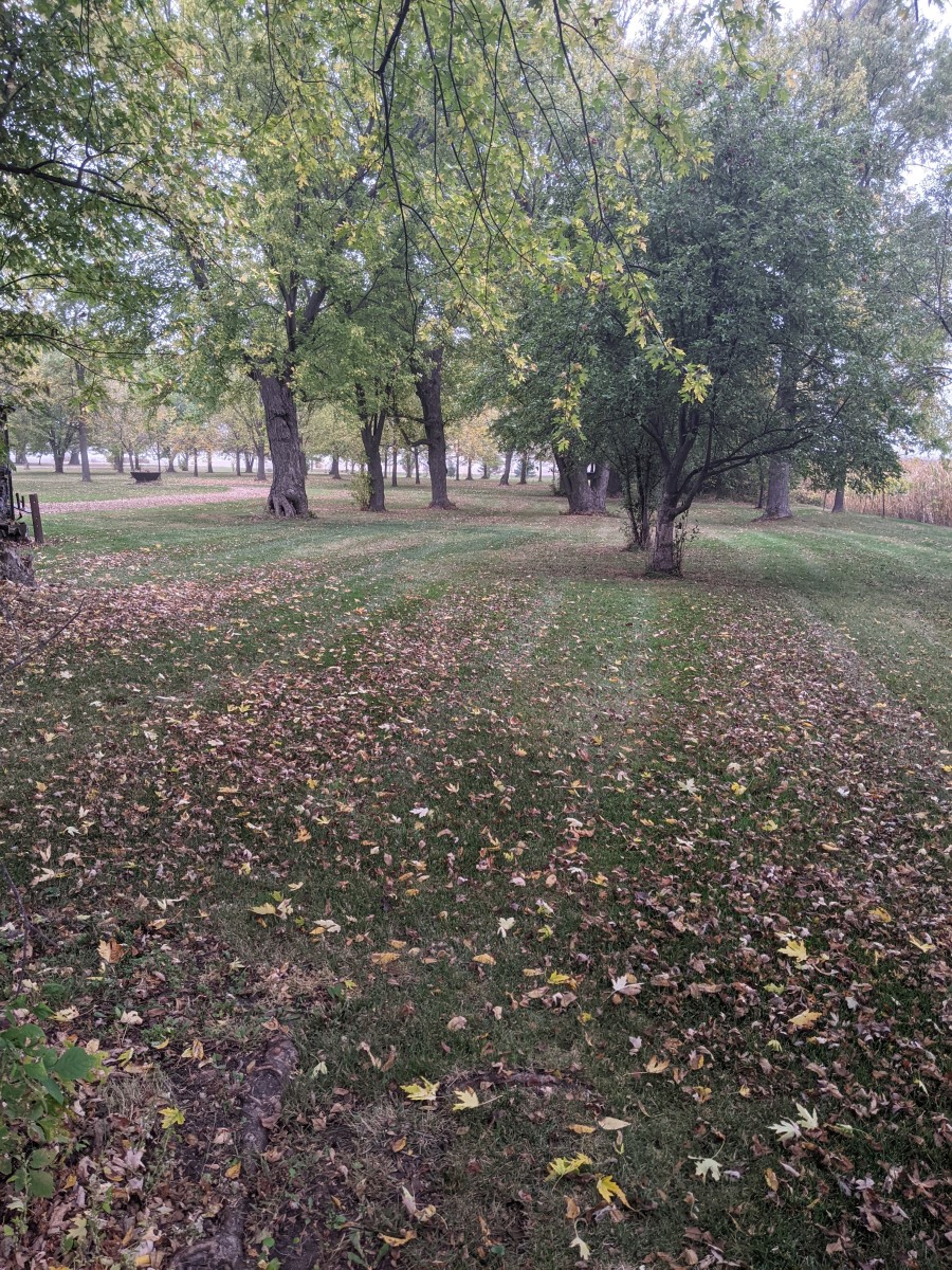 Fall in Minnesota - Autumn - HubPages