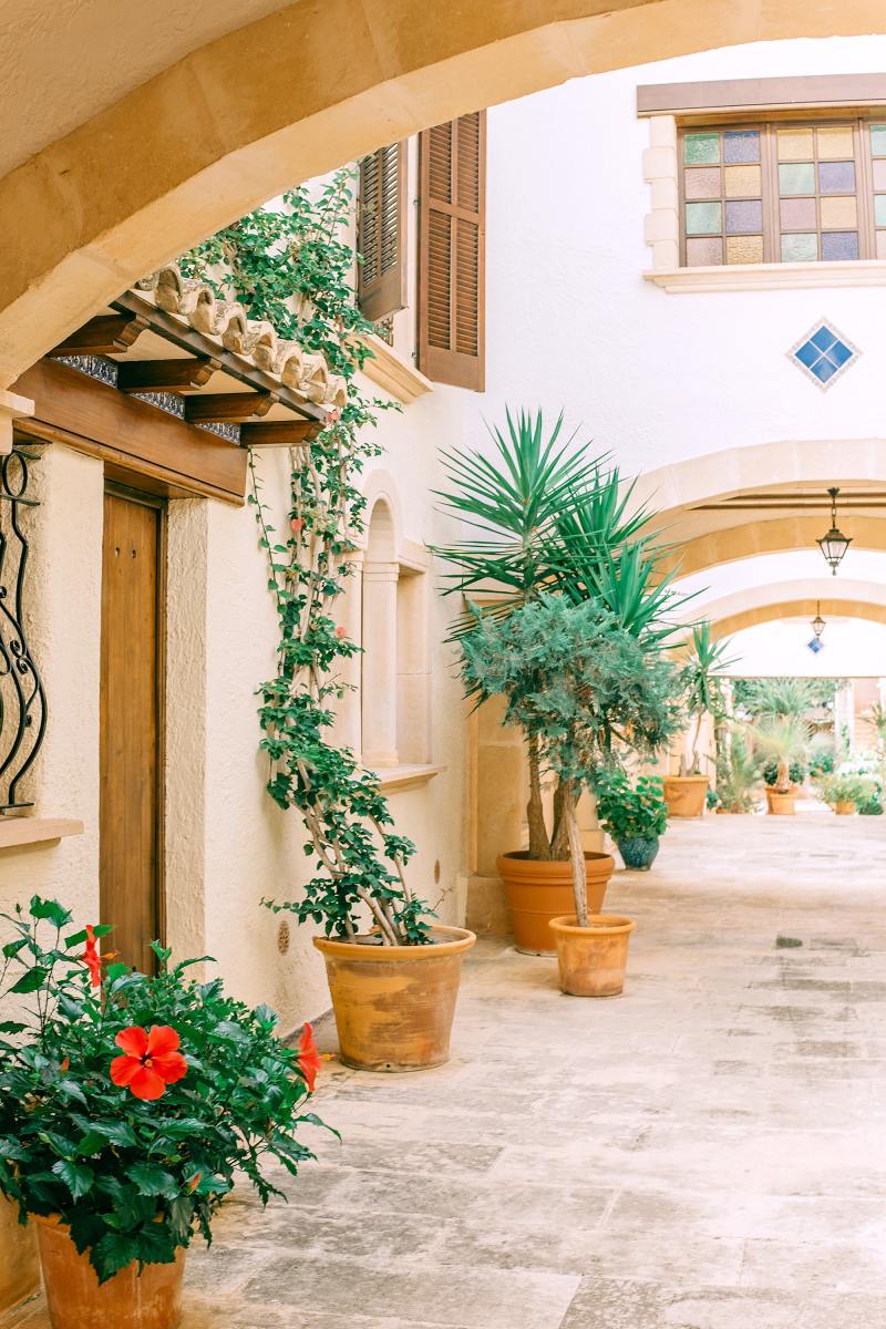 Embracing Nature for Designing - HubPages