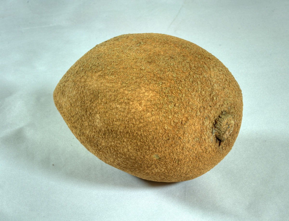 Copán - Some Foods of the Maya - HubPages