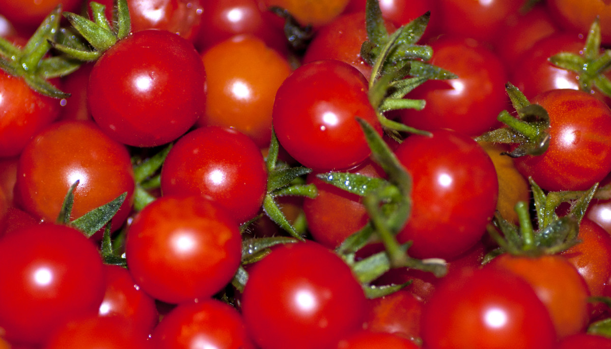 Copán - Some Foods of the Maya - HubPages