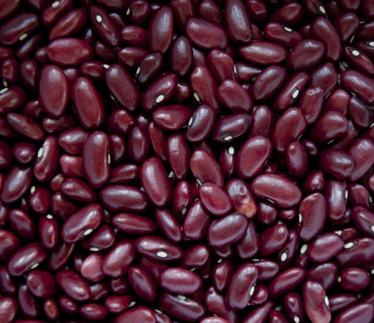 Copán - Some Foods of the Maya - HubPages