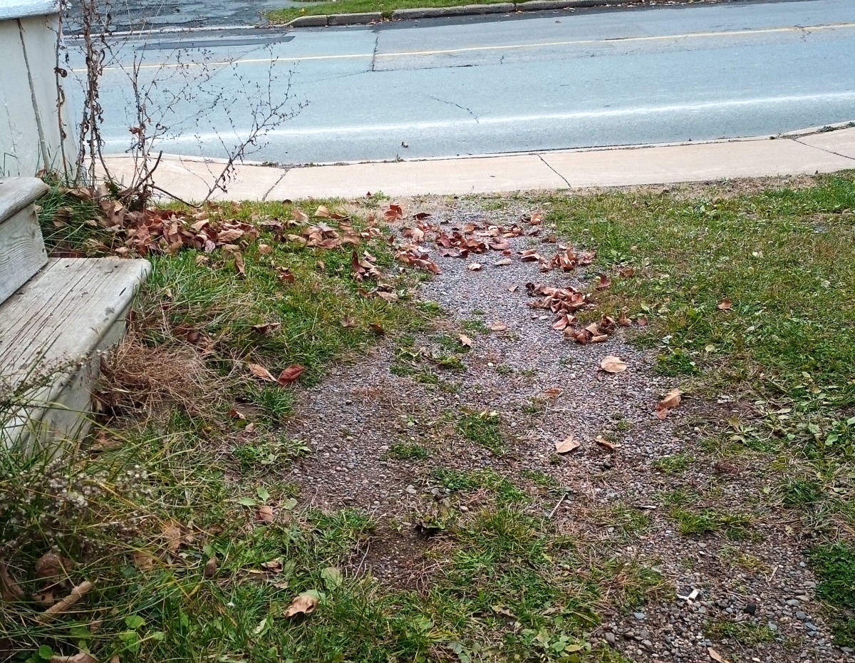 Review of the Omote Cordless Leaf Blower - HubPages