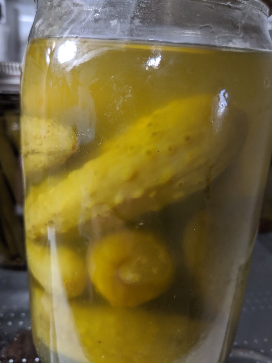 Minnesota Sushi - Or Pickle Roll Ups - HubPages