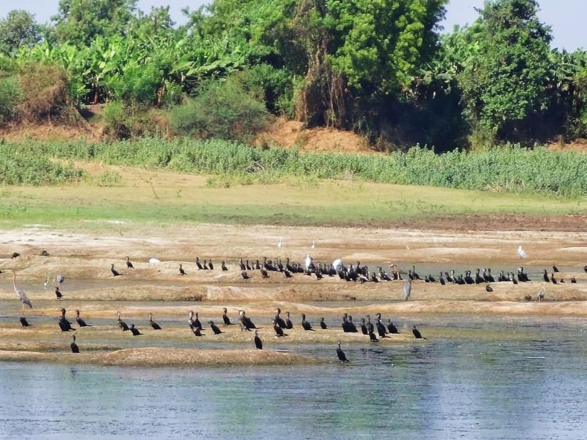 Wander in the Splendid of Jalgaon: My Travel Diary - HubPages