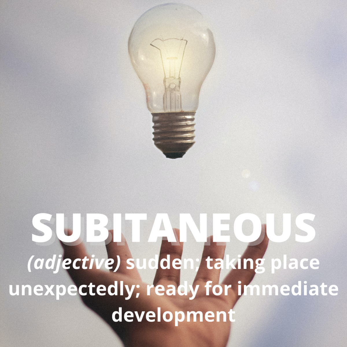 60 Amazing Words You ve Never Heard Of Owlcation 60 Amazing Words You ve Never Heard Of Owlcation