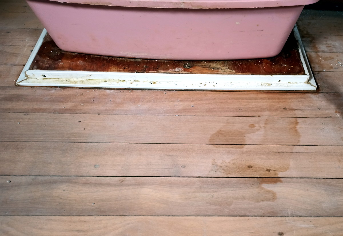 Review of the Roborock Dyad Wet and Dry Vacuum Cleaner - HubPages