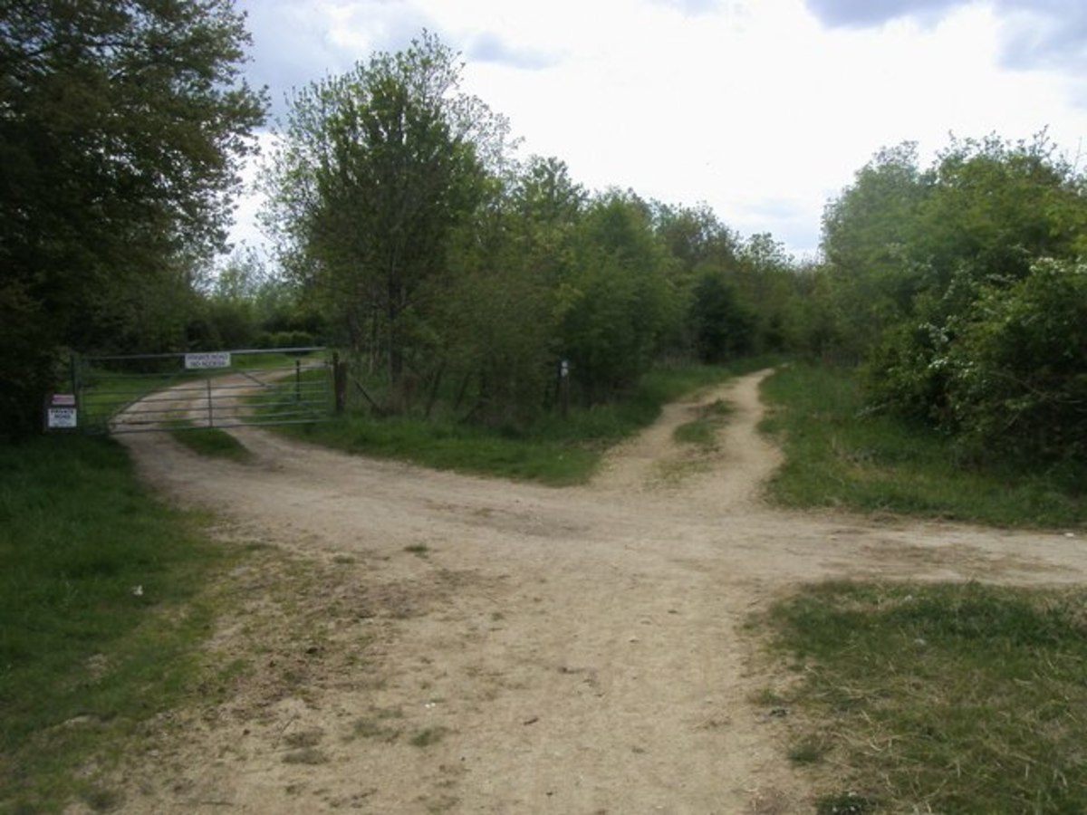 How to Start and Maintain a Walking Habit - HubPages