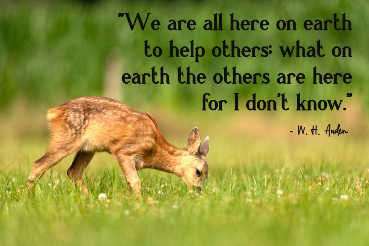 80 Songs About Helping Others or Asking for Help - HubPages