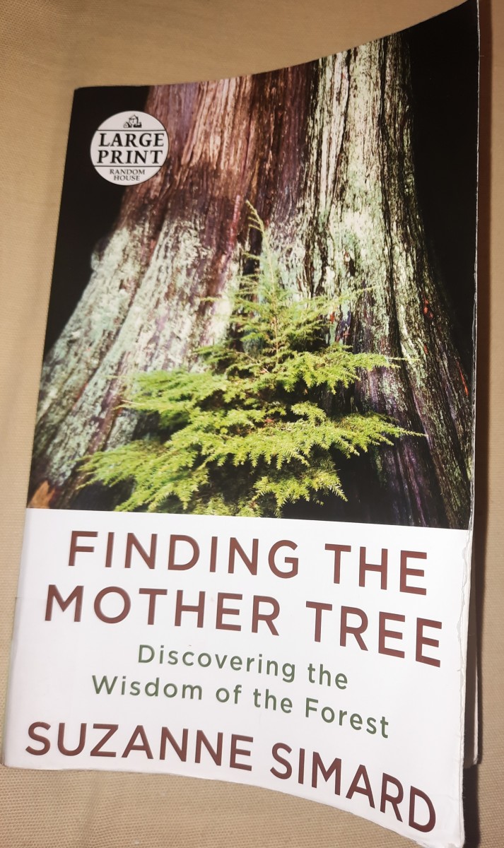 Climate Book Review: Finding the Mother Tree - Discovering the Wisdom ...