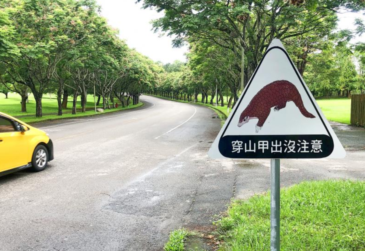 World Pangolin Day - HubPages