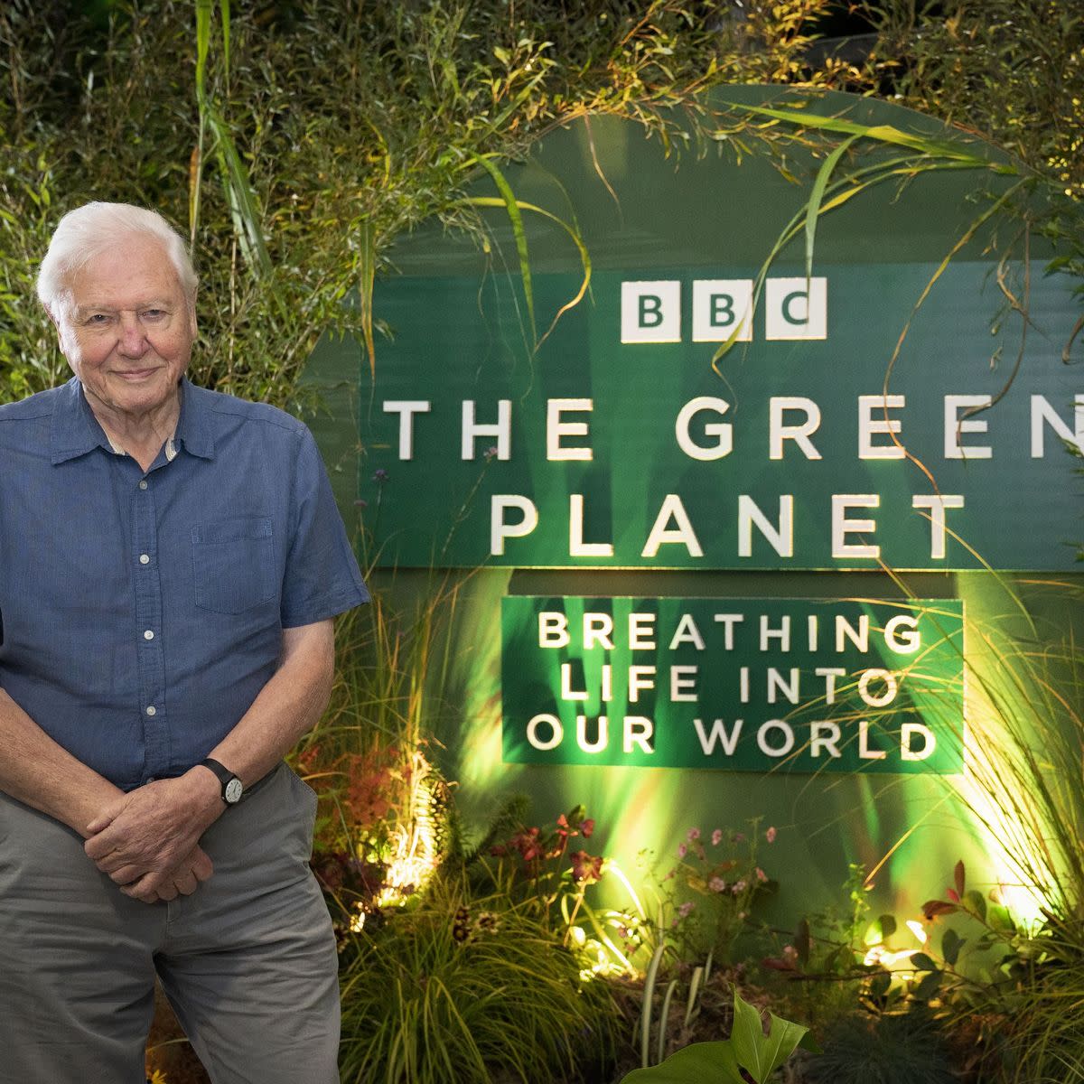 The Golden Voice of Naturalist Sir David Attenborough - HubPages