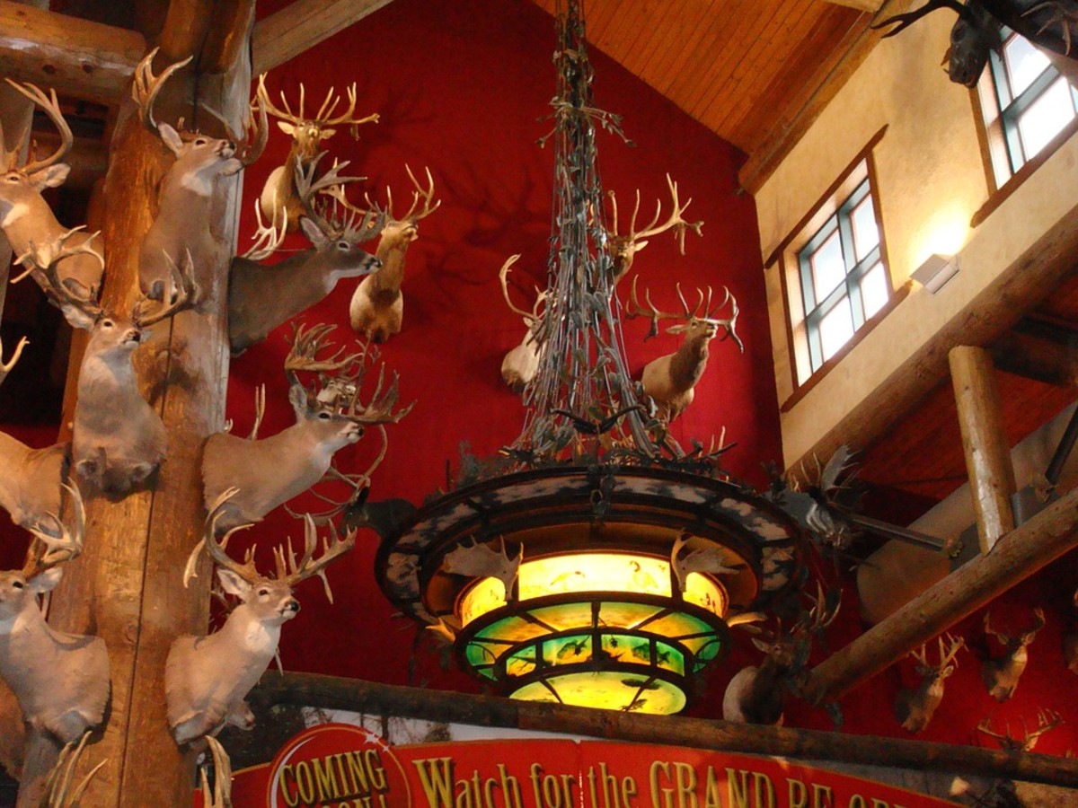 Purge Your Home of Unlucky Items - HubPages