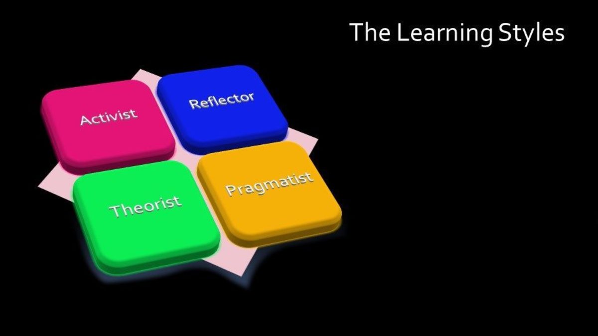 How Do We Learn and What Is Our Learning Style - HubPages