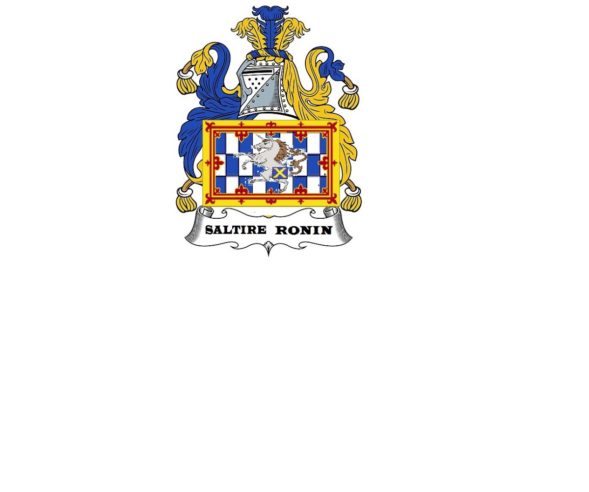 The Way of the Phoenix, a Guide to Dynamic Fighting by Saltire Ronin ...