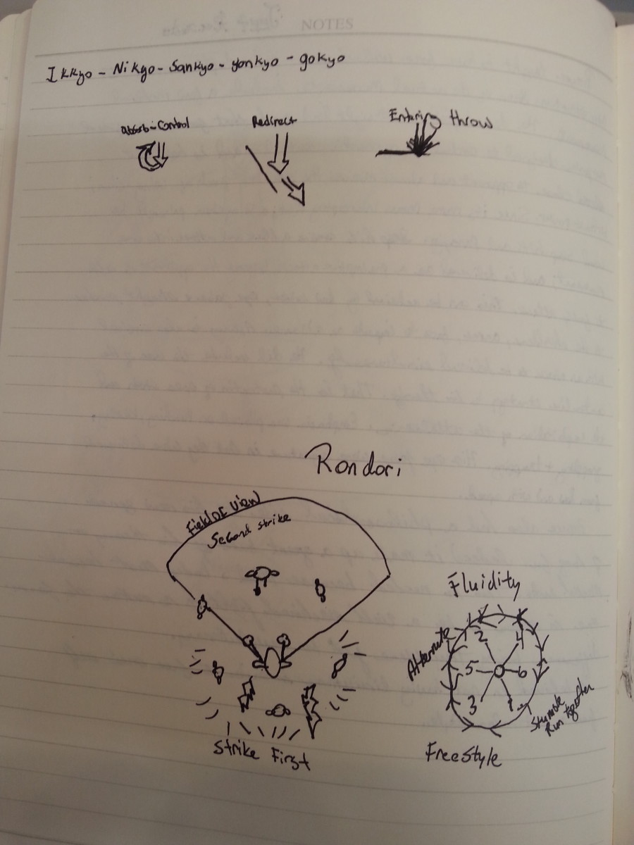 The Way of the Phoenix, a Guide to Dynamic Fighting by Saltire Ronin ...