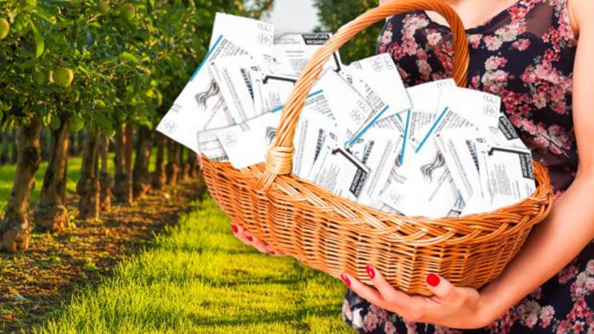 The Perils of Ballot Harvesting - HubPages