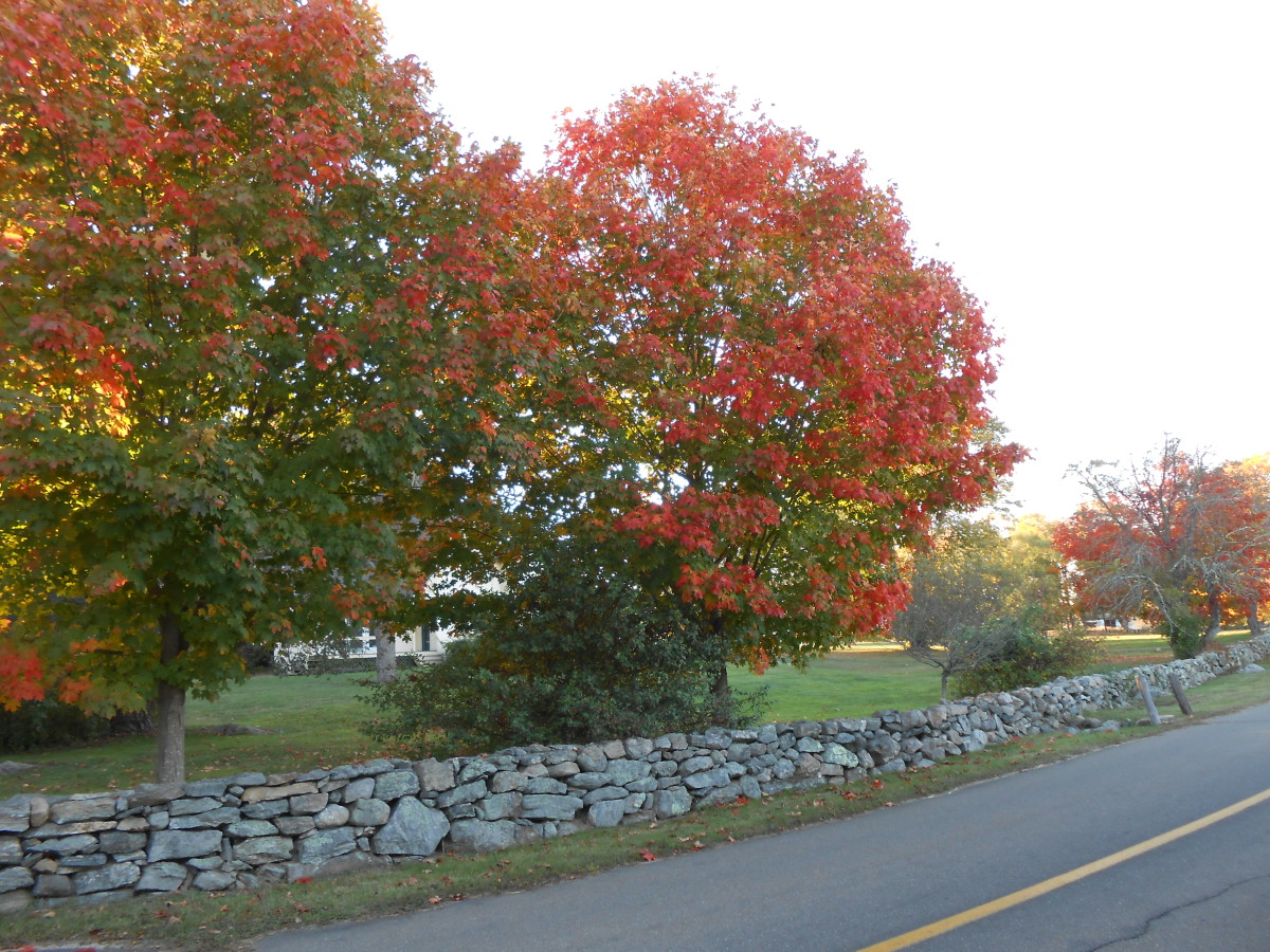 The Four Seasons of Connecticut - HubPages