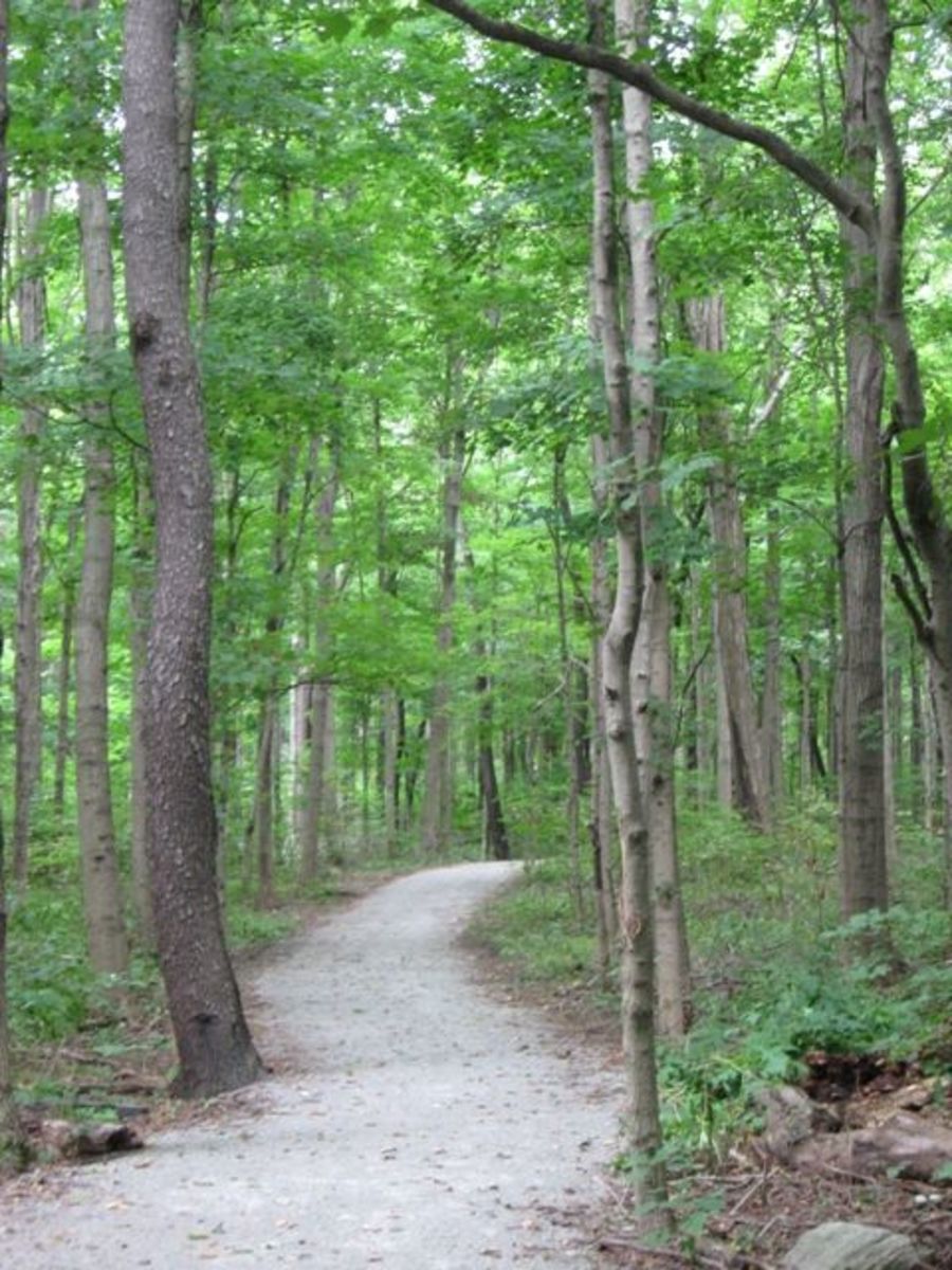 Summit Lake - HubPages