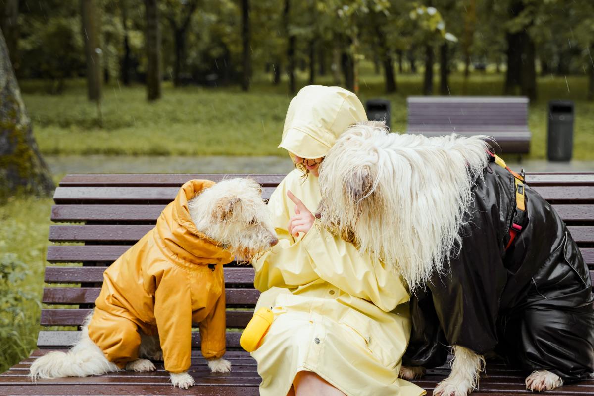 The Health Benefits Of Having A Pet HubPages The Health Benefits Of Having A Pet HubPages