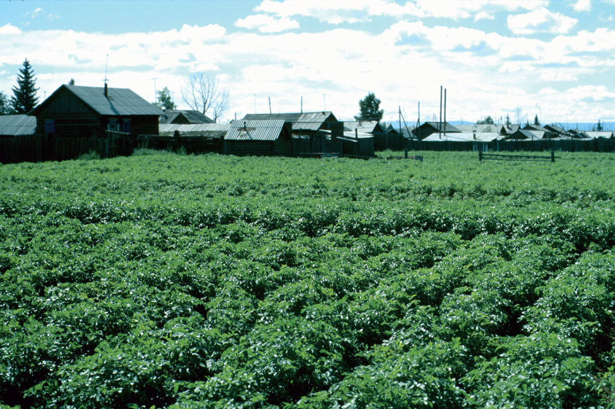 Soviet Passage Review - HubPages