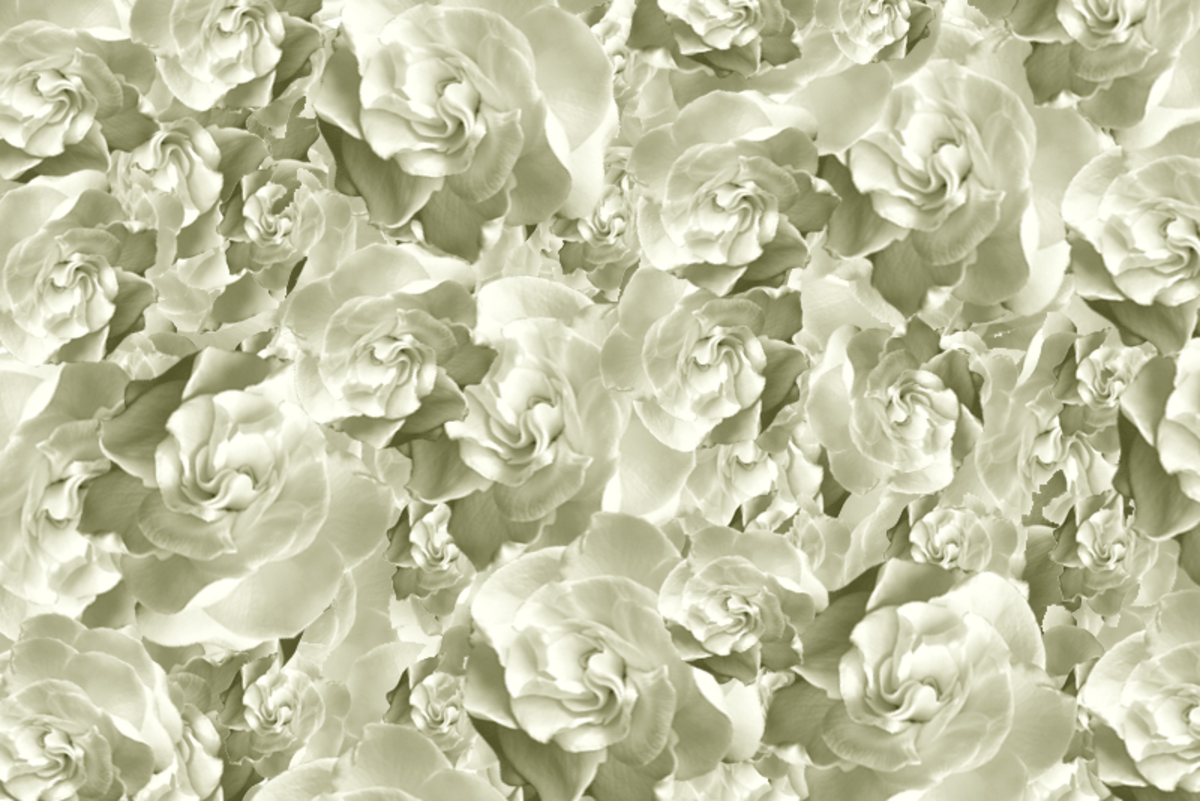 Printable Spring Scrapbook Patterns & Frames - HubPages