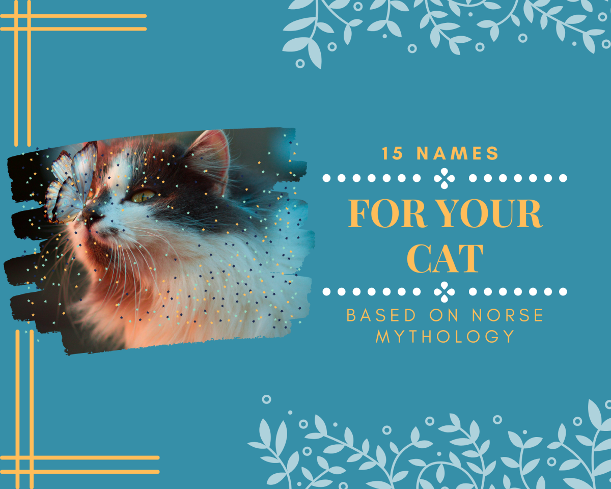 15 Names for Your Cat Based on Norse Mythology - PetHelpful