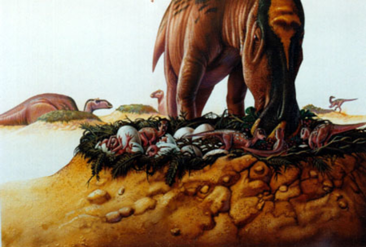 Mommy Direst? - HubPages