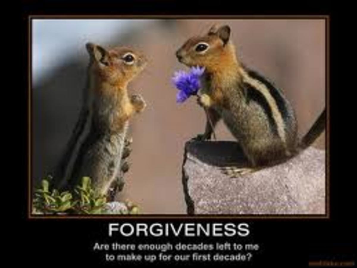 How Often Should We Forgive? - HubPages